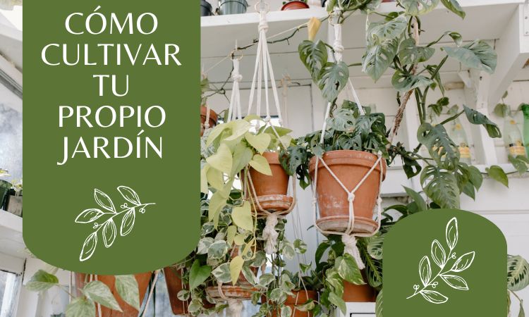 Cómo cultivar tu propio jardín